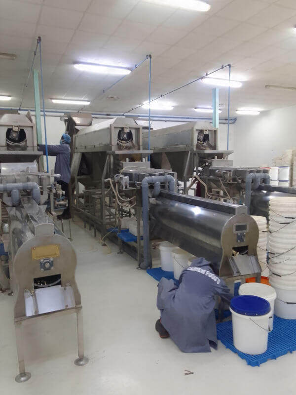The 5 Steps of Processing Raw Cashew Nuts