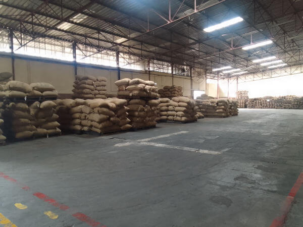 The 5 Steps of Processing Raw Cashew Nuts