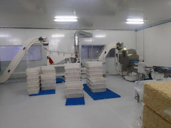The 5 Steps of Processing Raw Cashew Nuts