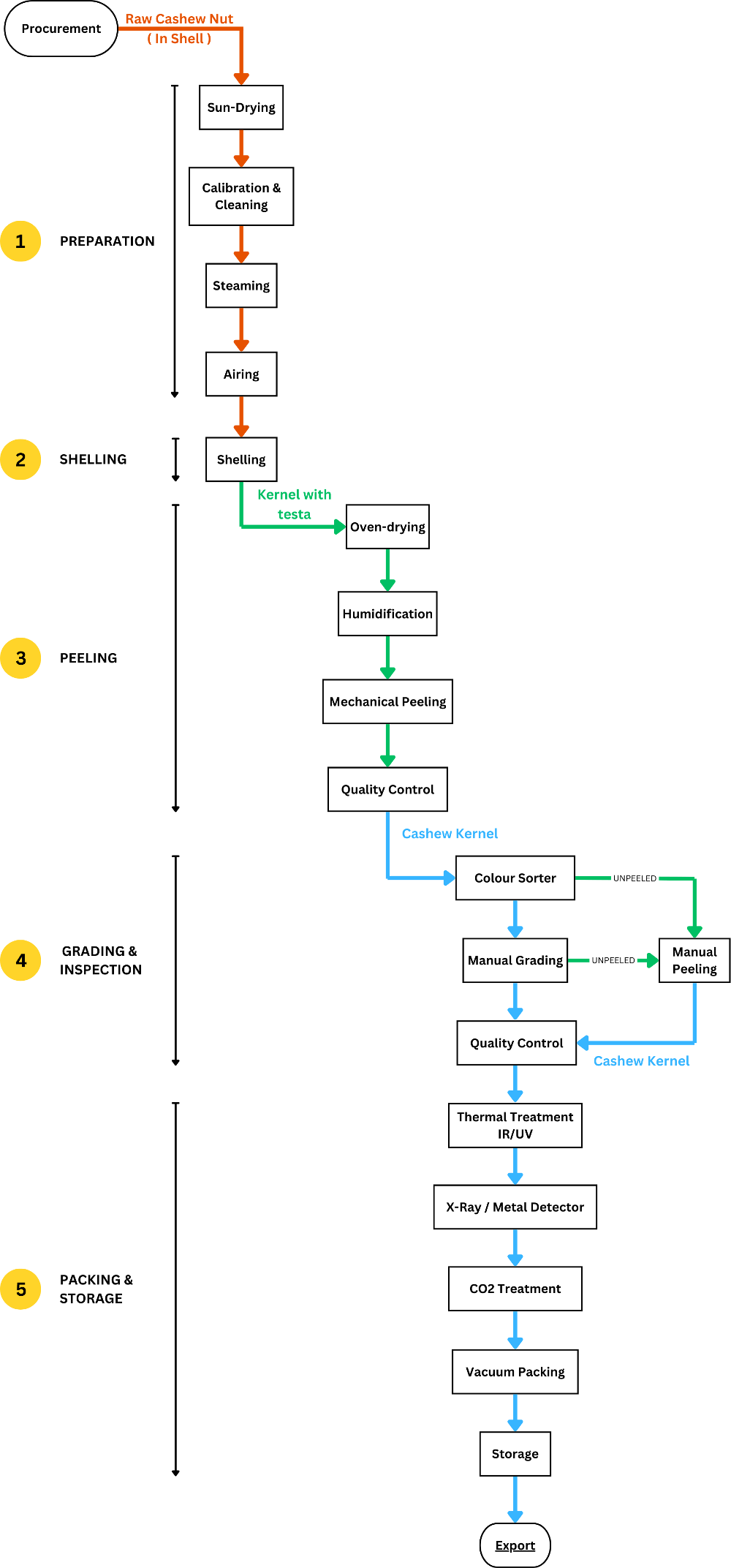 The 5 Steps of Processing Raw Cashew Nuts
